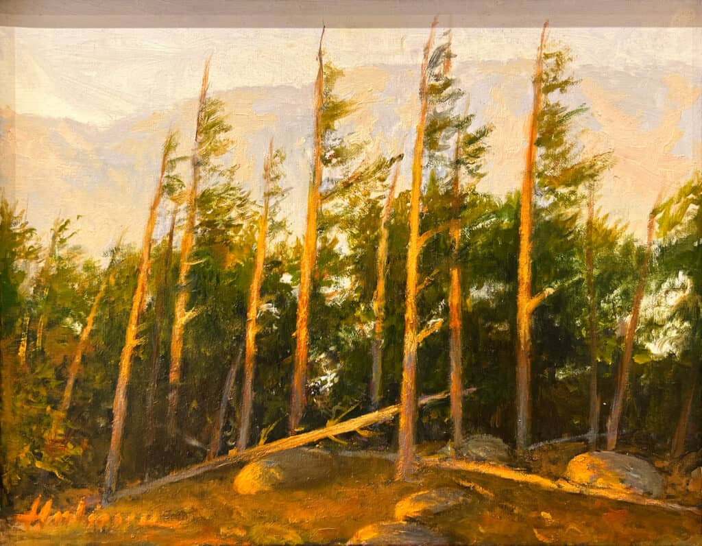 Field Study/Snowy Range - Kiechel Fine Art